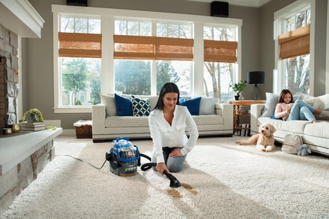 Little Green® Pet Pro Portable Carpet Cleaner 2891 | BISSELL®