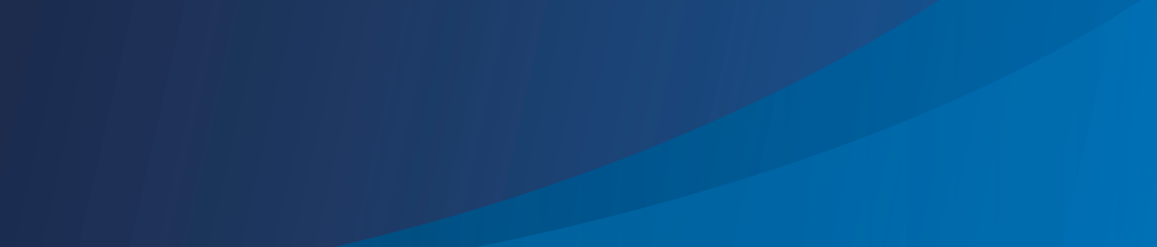 Cybersecurity Roadmap | SANS Institute