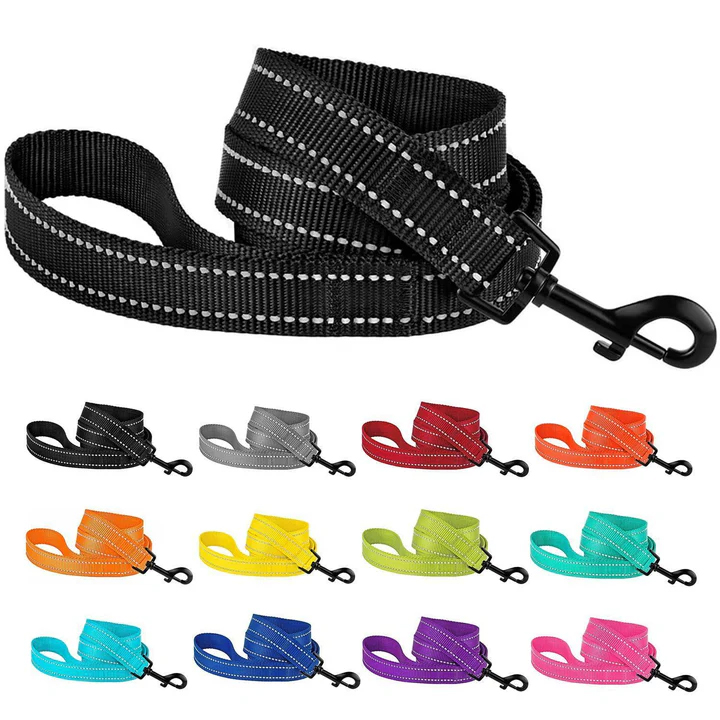 Reflective Nylon Dog Leashes from $4 at Brad's Deals