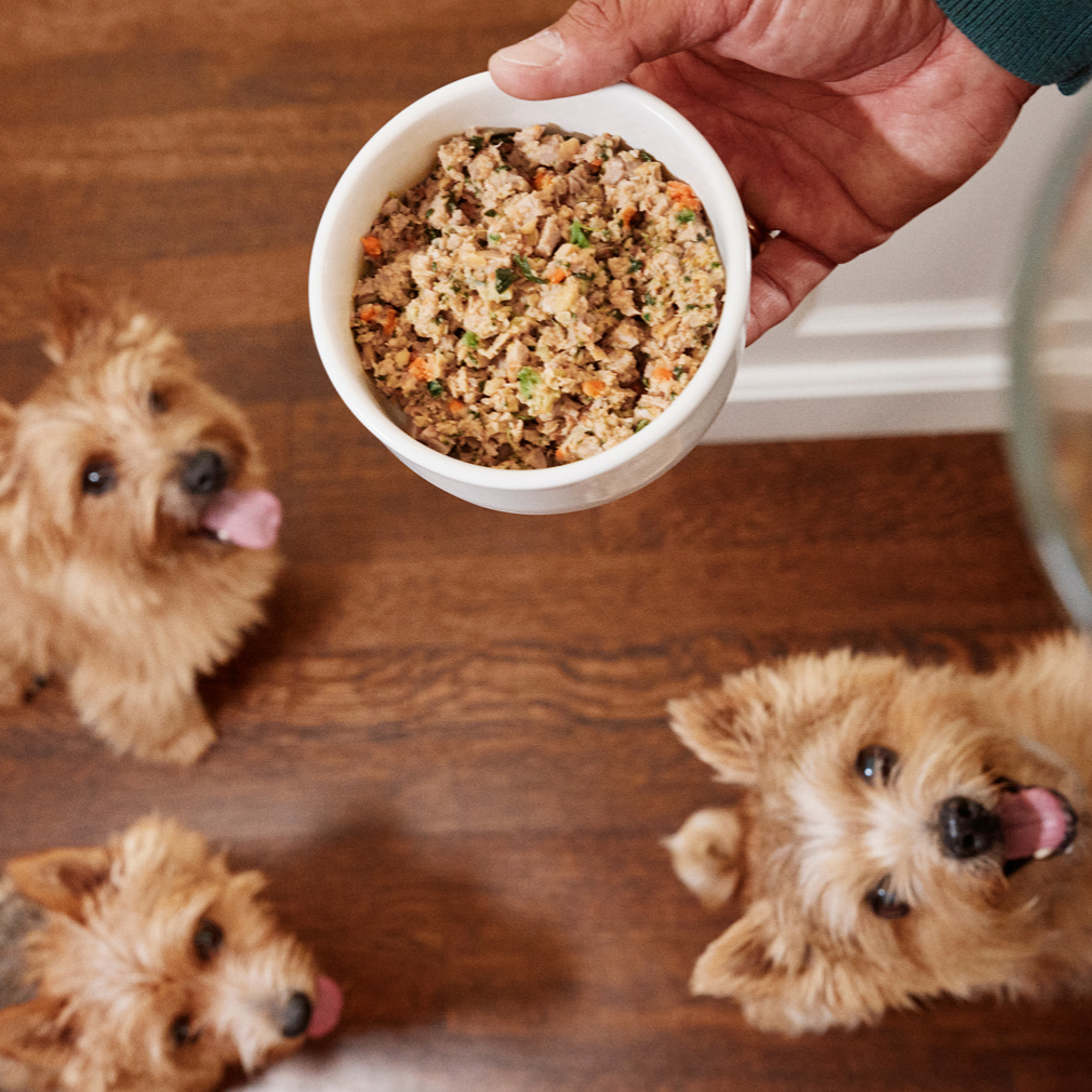 60% Off The Farmer's Dog Fresh Dog Food at Brad's Deals