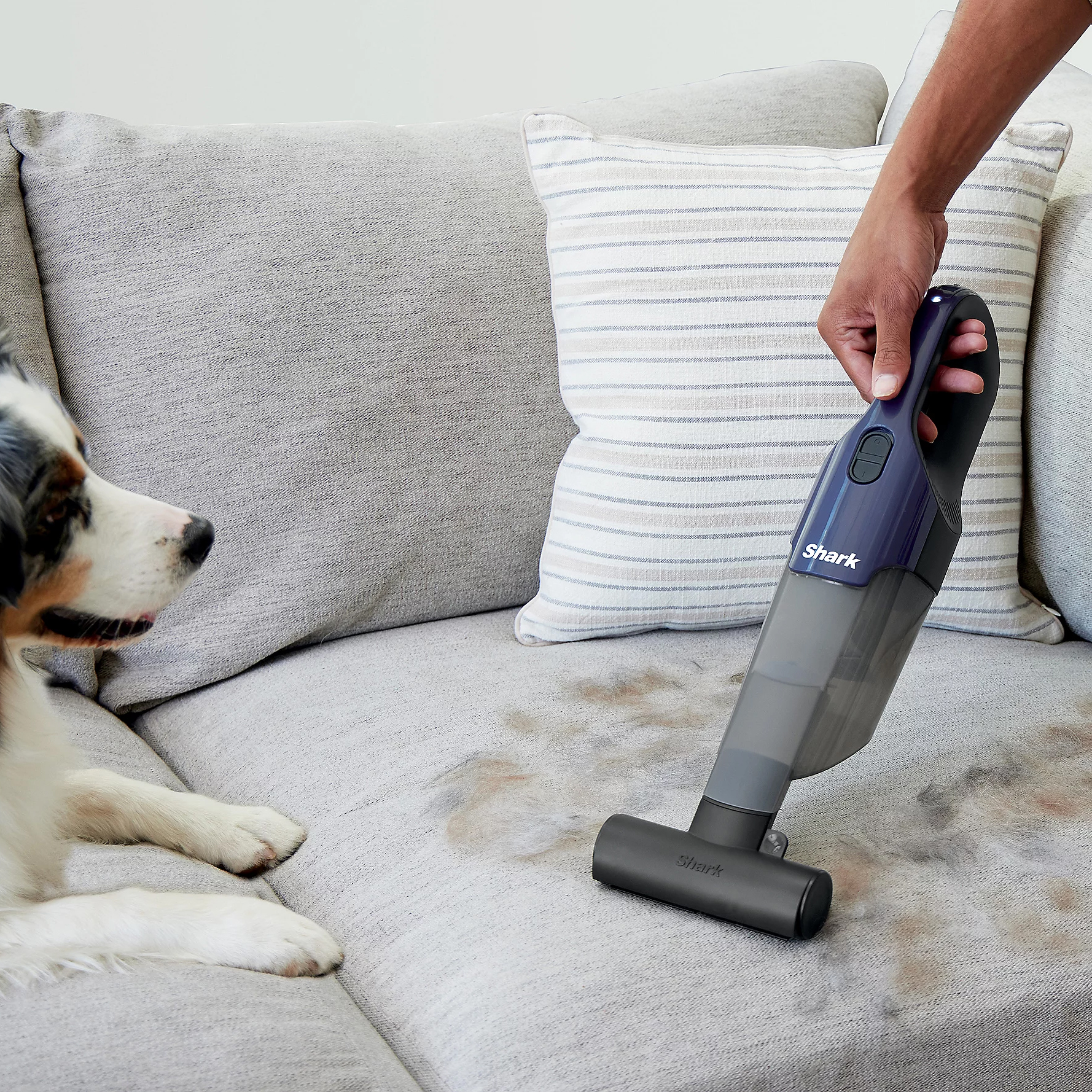 Shark Cyclone Handheld Vacuum $30 at Brad's Deals