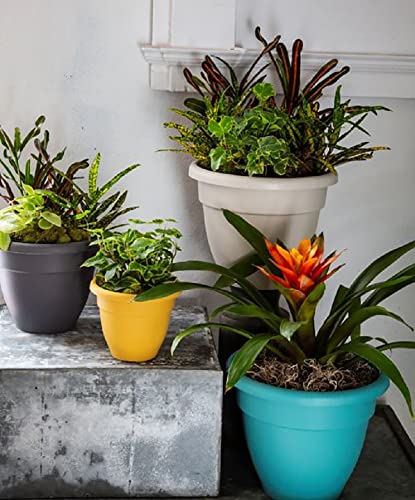 Plastic Plant Pots from $2 at Brad's Deals