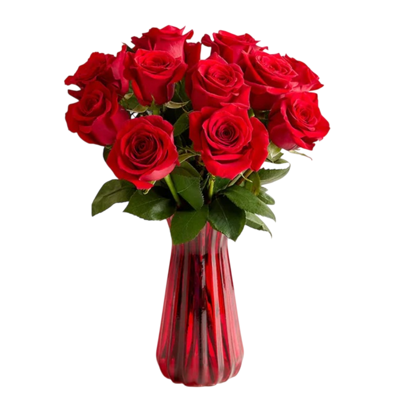12 Red Roses $71 Shipped at Brad's Deals