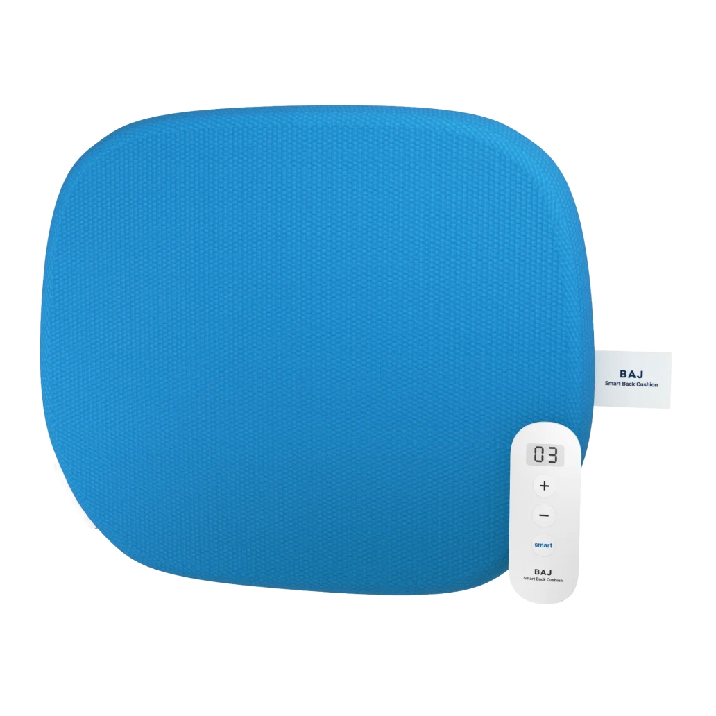 Back Cushion with Remote $20 at Brad's Deals