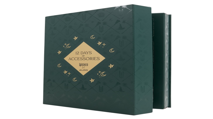 Aldo X Wicked Accessories Box $30 at Brad's Deals