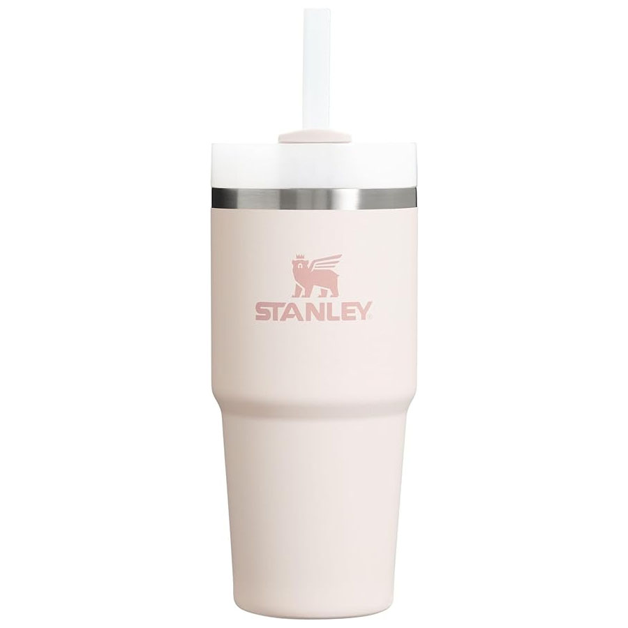 Stanley 14oz Straw Cups $20 at Brad's Deals