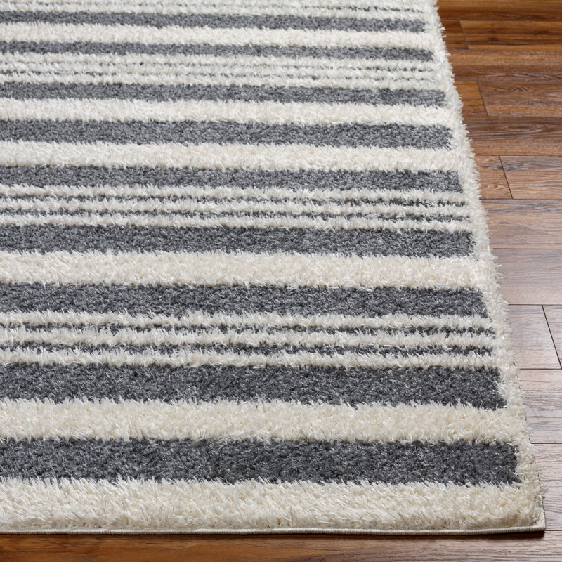 8' x 10' Striped Shag Area Rug $70 at Brad's Deals