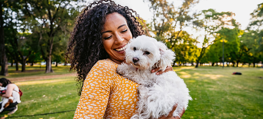 Where To Shop For The Best Pet Deals Online