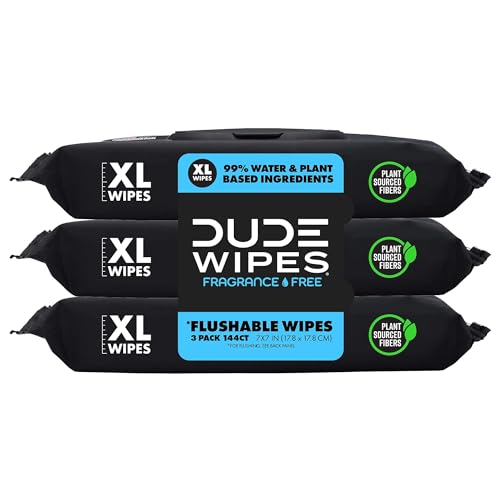 144ct Flushable Dude Wipes $9 at Brad's Deals