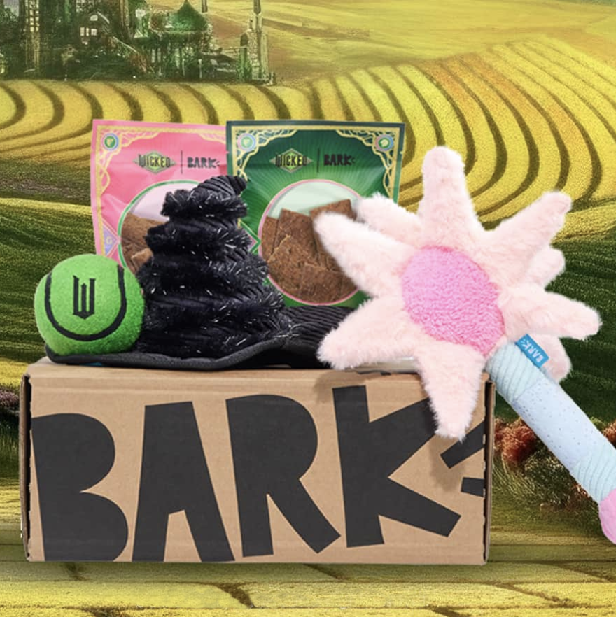 Double First Bark Box with Subscription at Brad's Deals