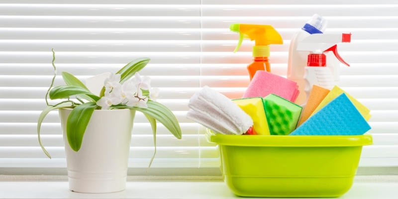 Spring Cleaning Guide According to Our Experts