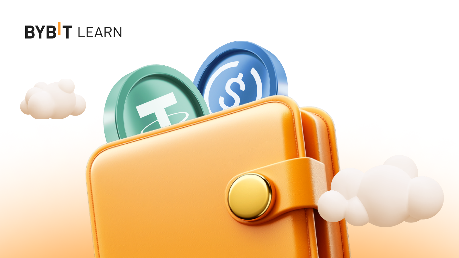 The future of stablecoin wallets: Bridging traditional finance and ...