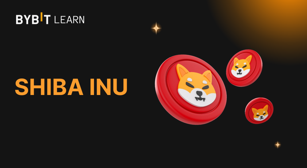 Shiba Inu Coin là gì? Từ memecoin đến hệ sinh thái SHIB | Bybit Learn