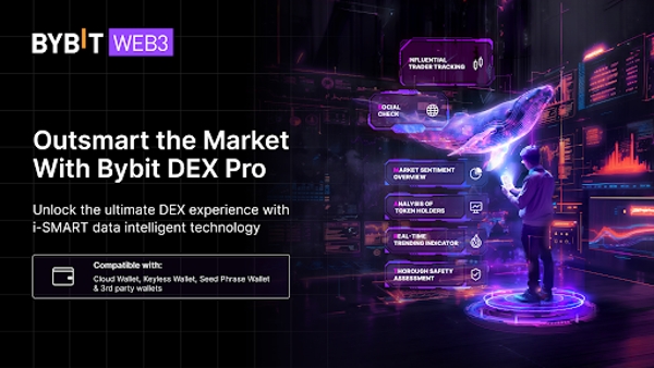 Bybit Web3 DEX Pro Guide: Outsmarting the Market With i-SMART Data Intel | Bybit Learn