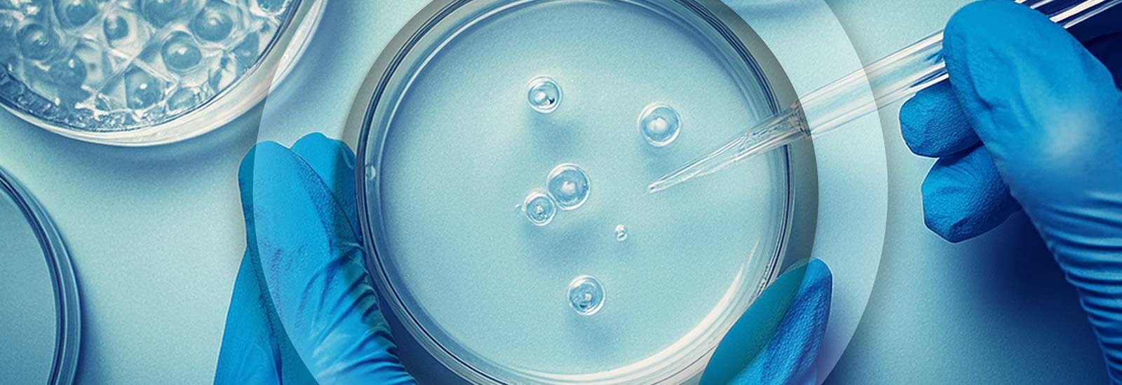 ESG: the ESAs propose significant changes to SFDR level 2 RTS | Simmons ...