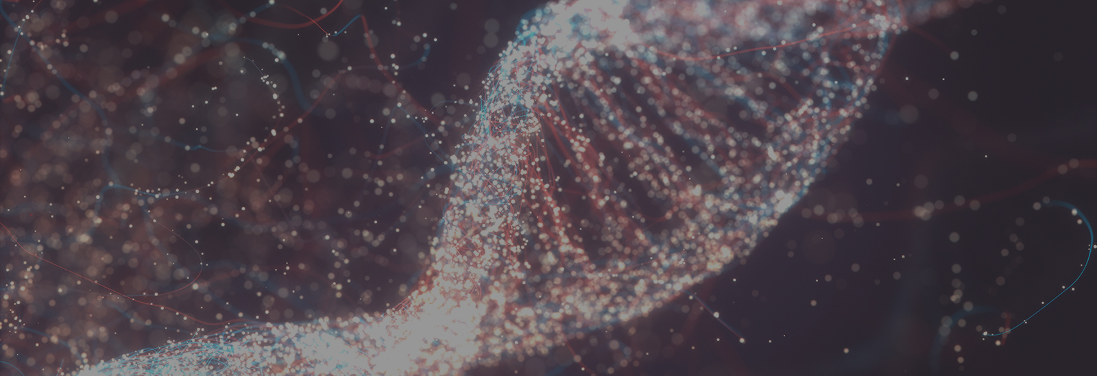 Insufficiency attacks under the microscope – Supreme Court appeal ...