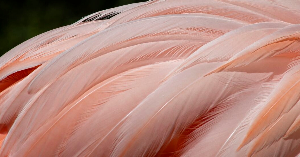 Green is the New 'it' Colour | Simmons & Simmons