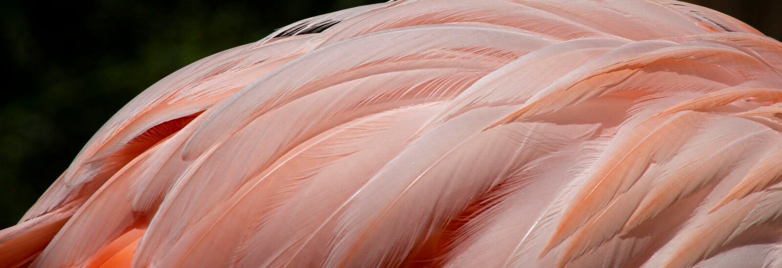 ESG: the ESAs propose significant changes to SFDR level 2 RTS | Simmons ...