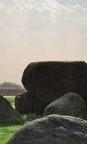 ESMA's MiFID Suitability Guidelines and sustainability preferences ...