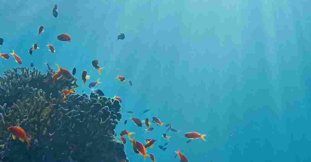 ESG: client note top 10 talking points from the ESAs' SFDR proposals ...