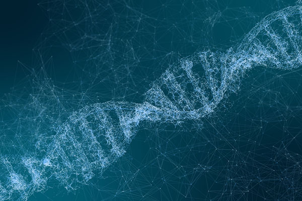 Introduction to the 2022 ISDA SFT Definitions and Schedule Provisions ...