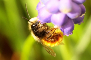 Recap and Timeline of EMIR Refit Reporting Changes | Simmons & Simmons