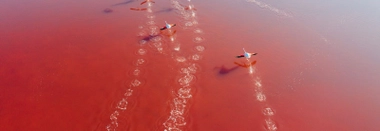 Ruby Ho | Simmons & Simmons