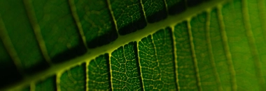 Marc Fèvre | Simmons & Simmons