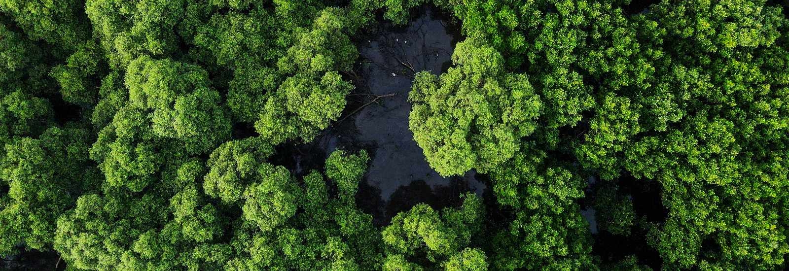 Recap and Timeline of EMIR Refit Reporting Changes | Simmons & Simmons