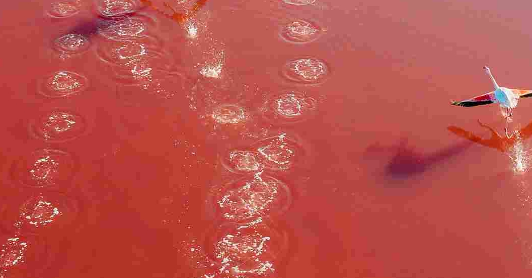 ESMA updates guidelines on funds’ names using ESG or related terms ...