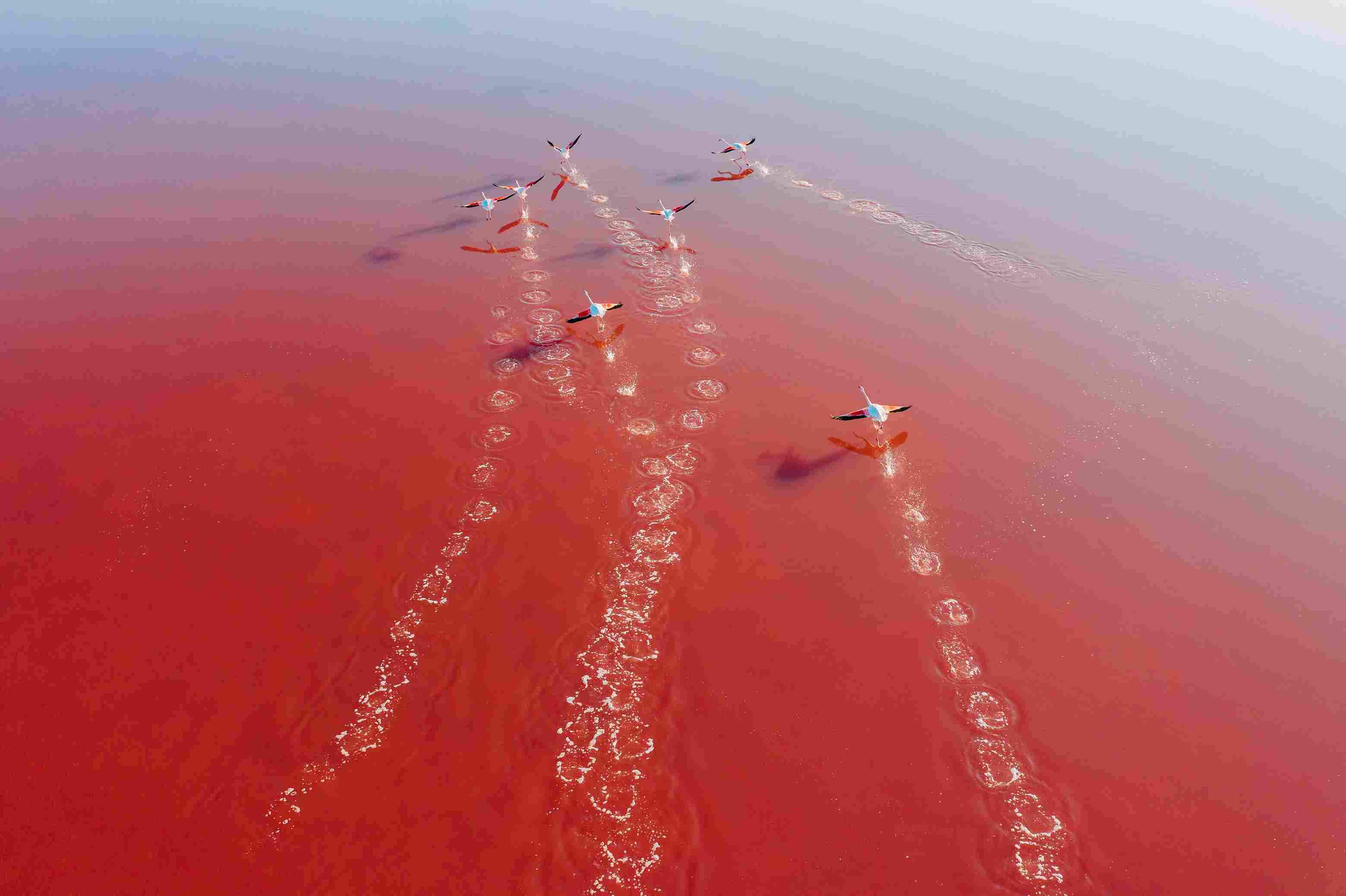 ESG: ESMA launches a CSA into disclosures and sustainability risks ...