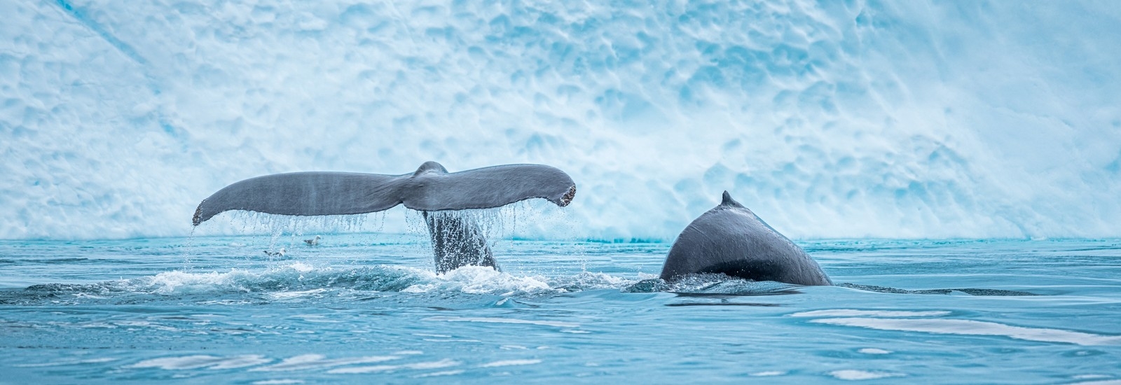 Recap and Timeline of EMIR Refit Reporting Changes | Simmons & Simmons