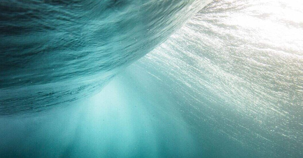 Seas of Opportunity: A Guide to the Blue Economy unveiled before UNOC3 ...