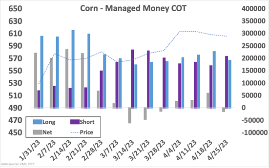 Corn Prices Fall as Conditions Support More Pain | tastylive