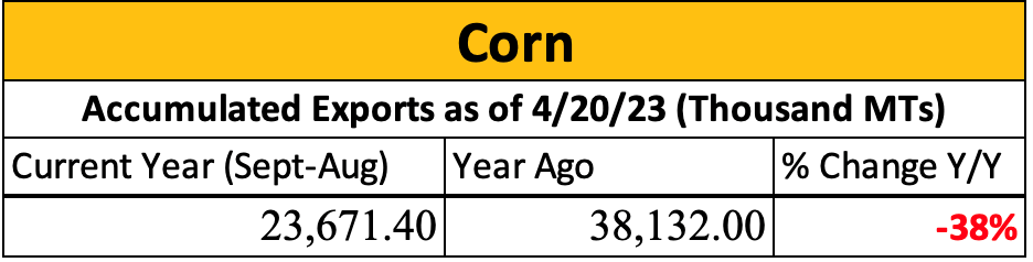 Corn Prices Fall as Conditions Support More Pain | tastylive