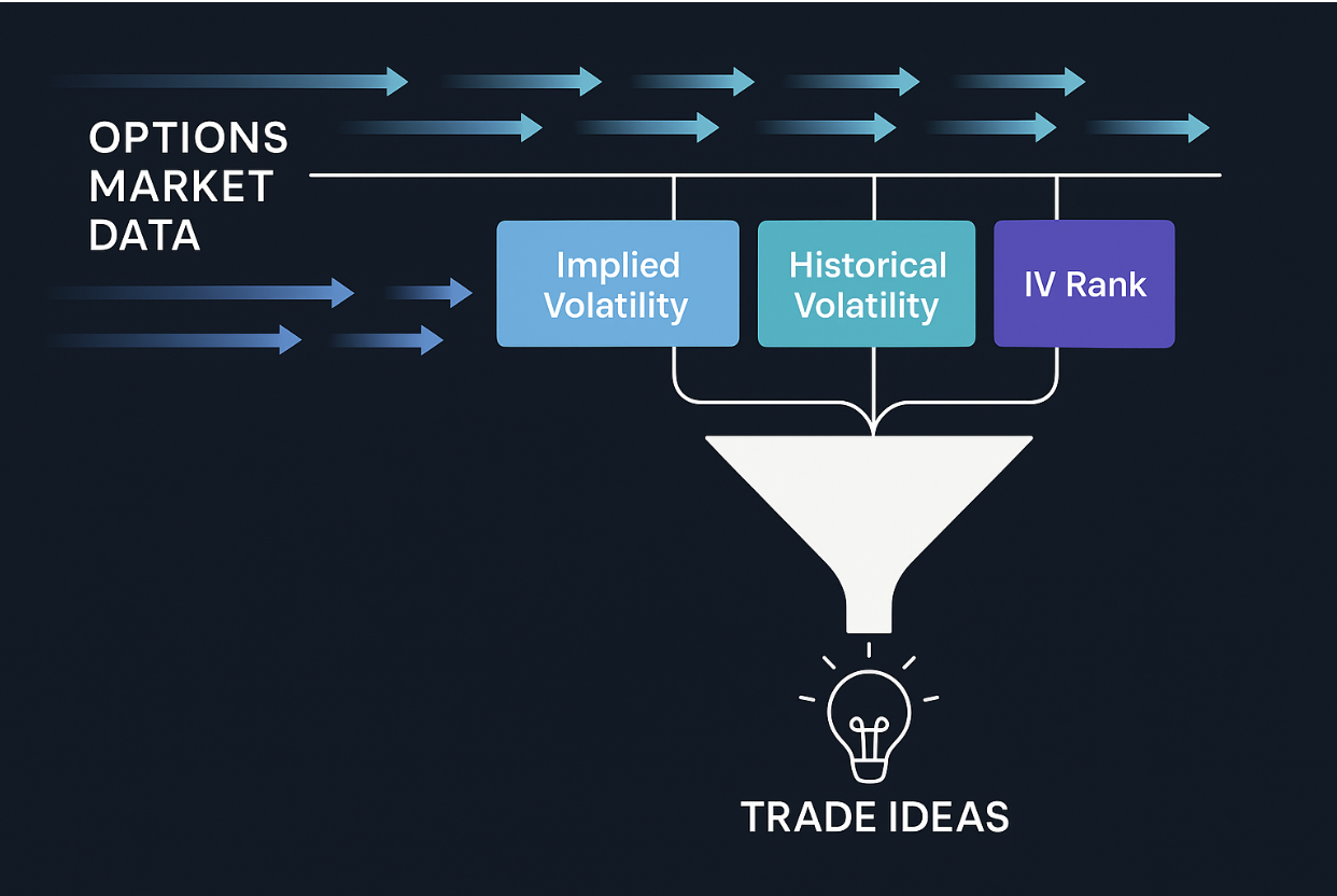 Implied Volatility Explained: IV, HV, and IV Rank in Options Trading | tastylive