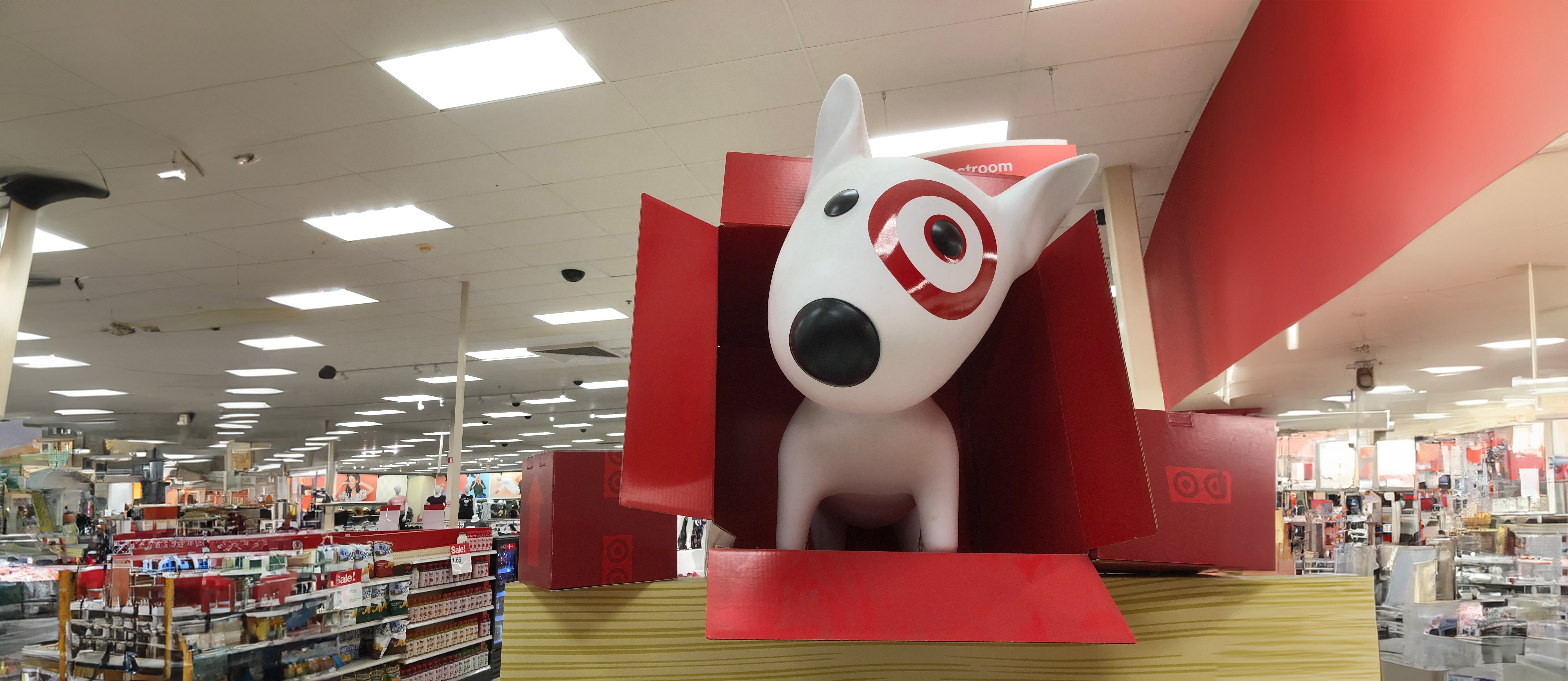 Target (TGT) Earnings: Can They Recover 2023 Losses? | tastylive