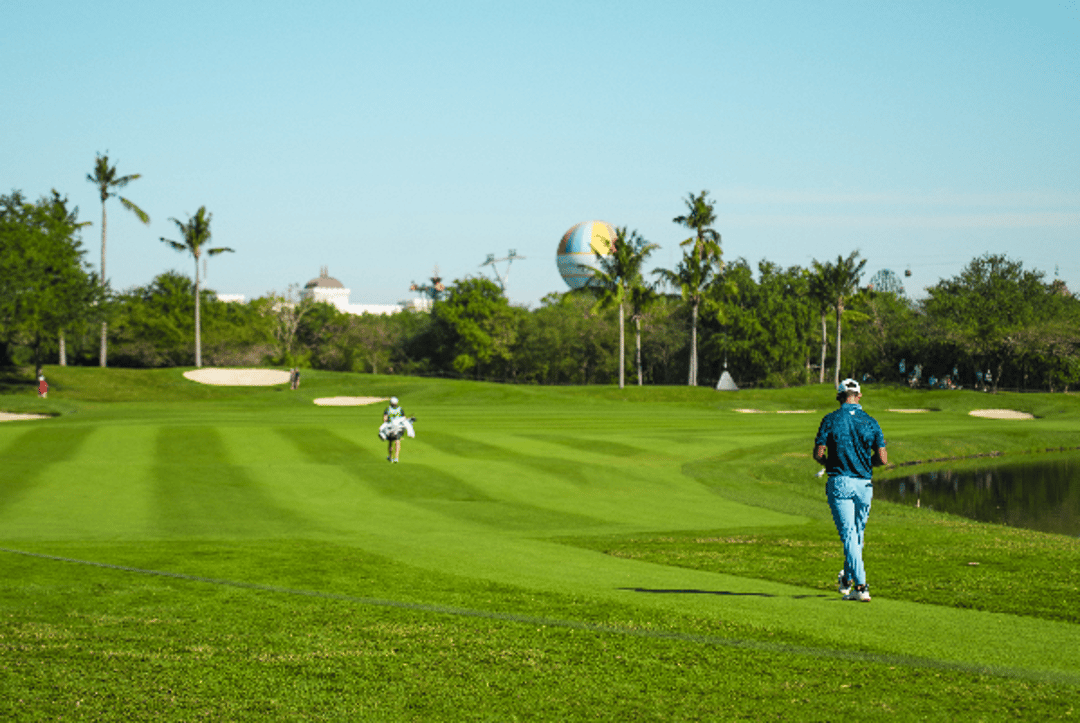 Mexico Open