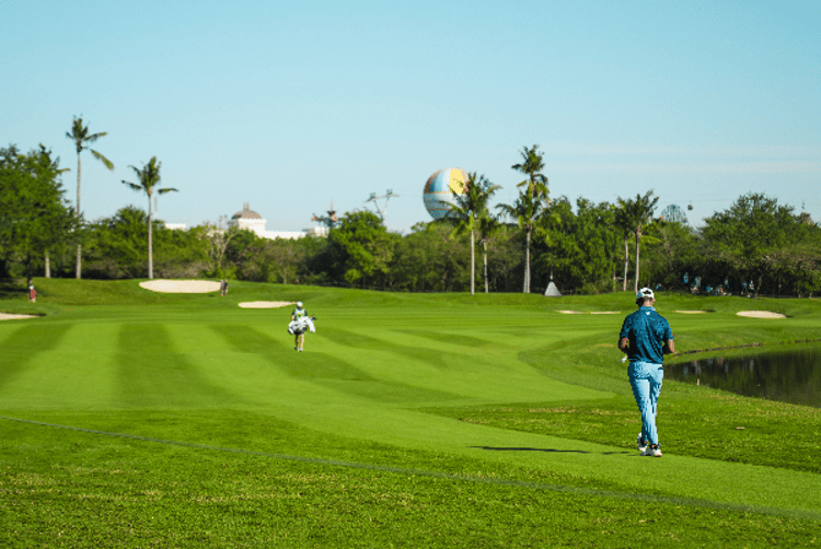 Mexico Open