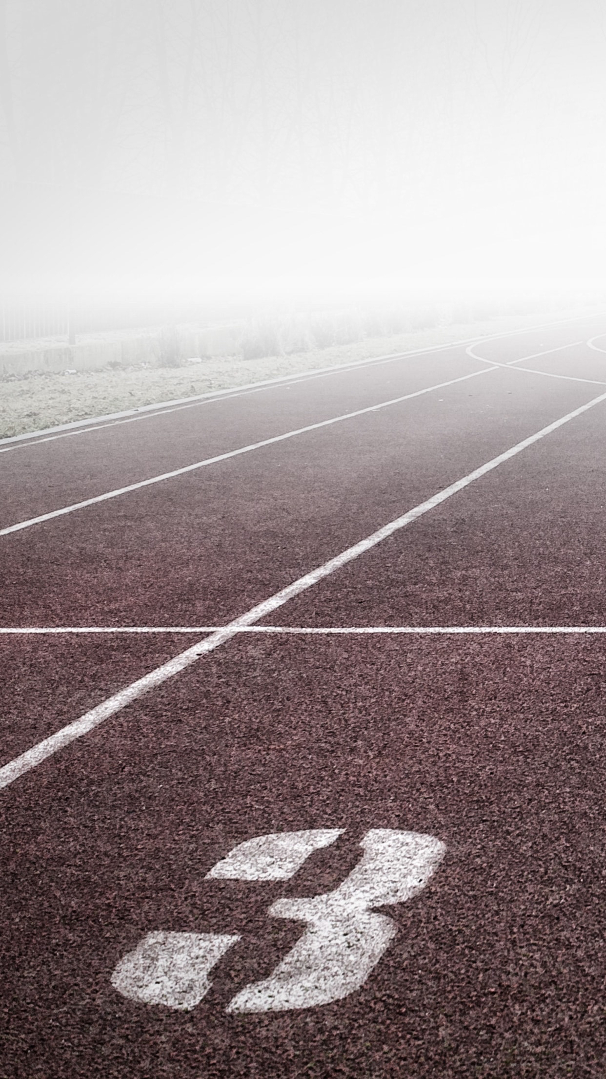 Intensive workouts & individual training plans | FREELETICS