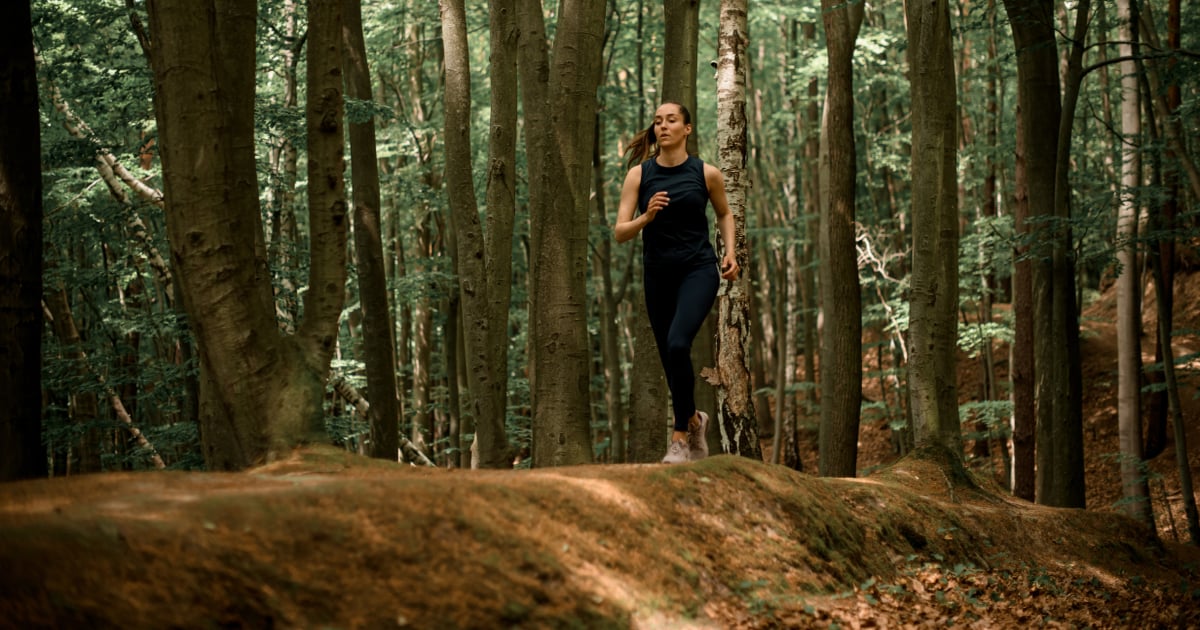 Thérapie par la nature : comment les bains de forêt favorisent le bien-être