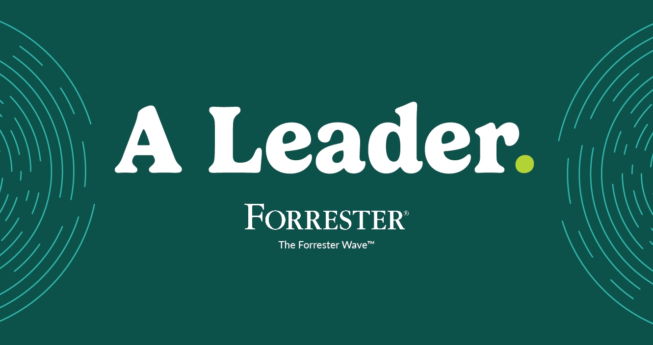 Forrester Logo The Forrester Wave™: Mikrosegmentierungslösungen, 3.