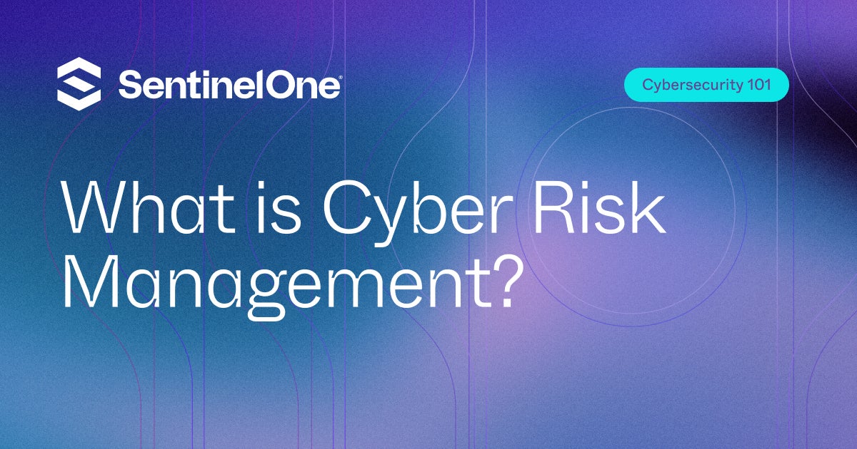 What is Cyber Risk Management?