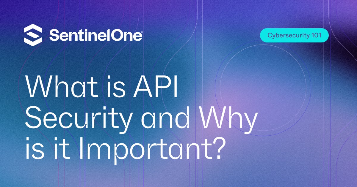 What is API Security? Benefits & Examples