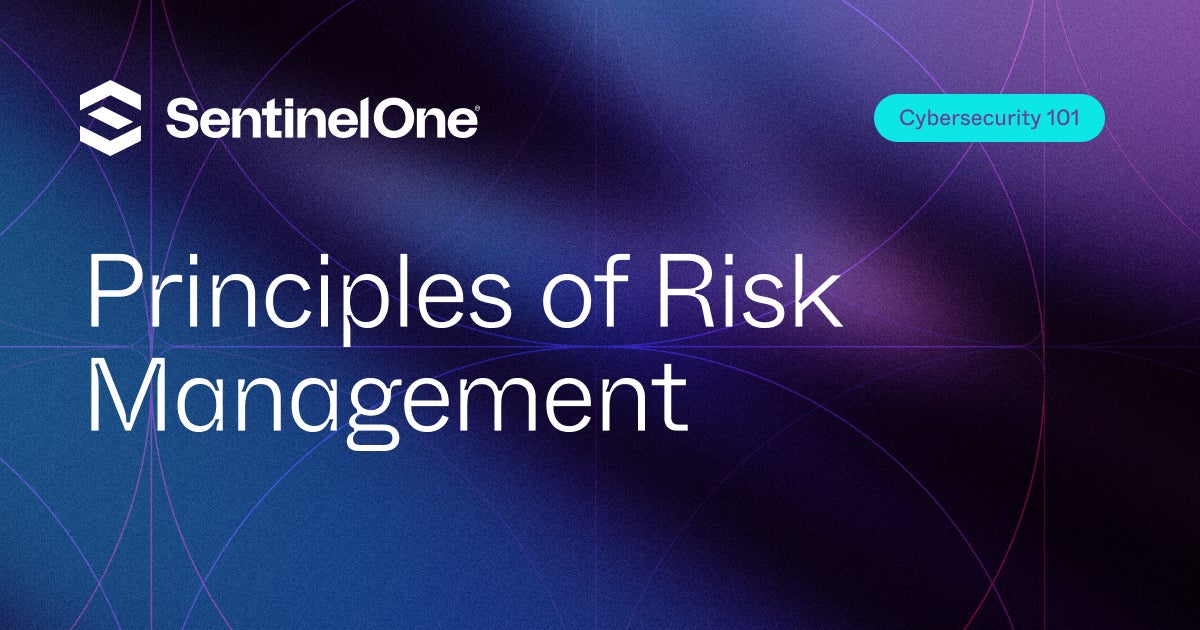 6 Principles of Risk Management