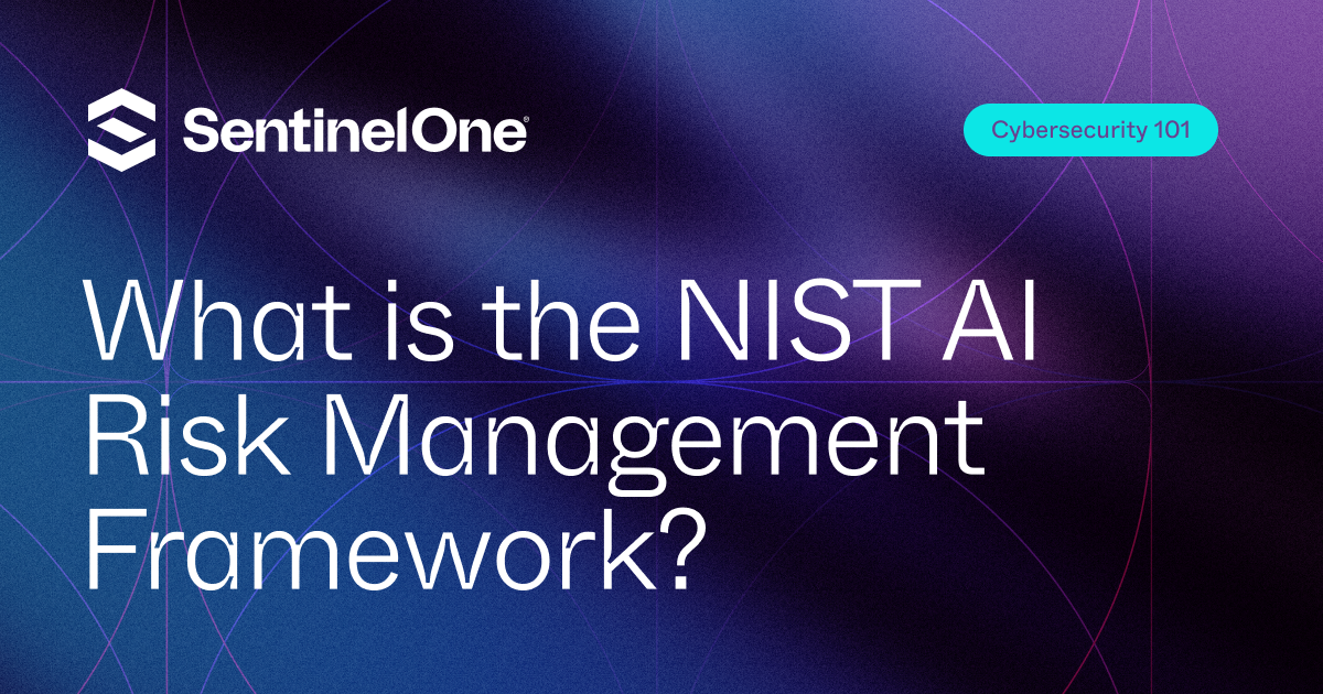 What is the NIST AI Risk Management Framework?