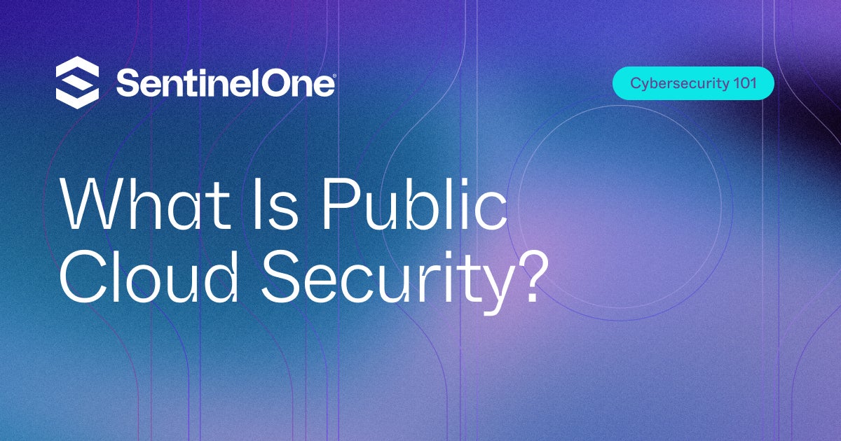What Is Public Cloud Security?