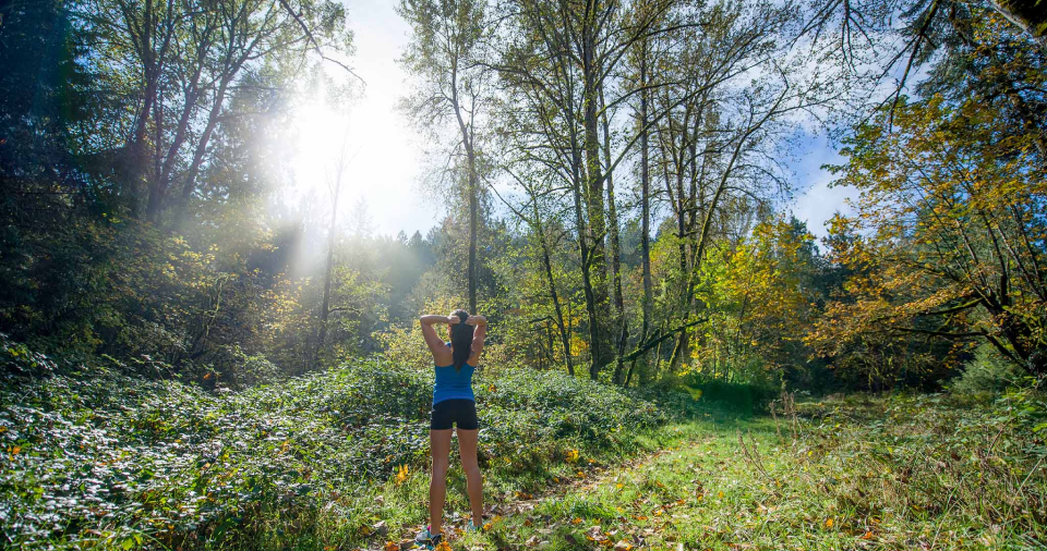 ACUVUE® OASYS MAX 1-Day Product | ACUVUE® Contact Lenses