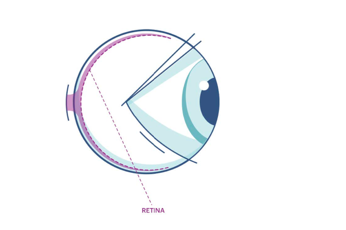 Learn the Basics of Eye Care | ACUVUE® Contact Lenses
