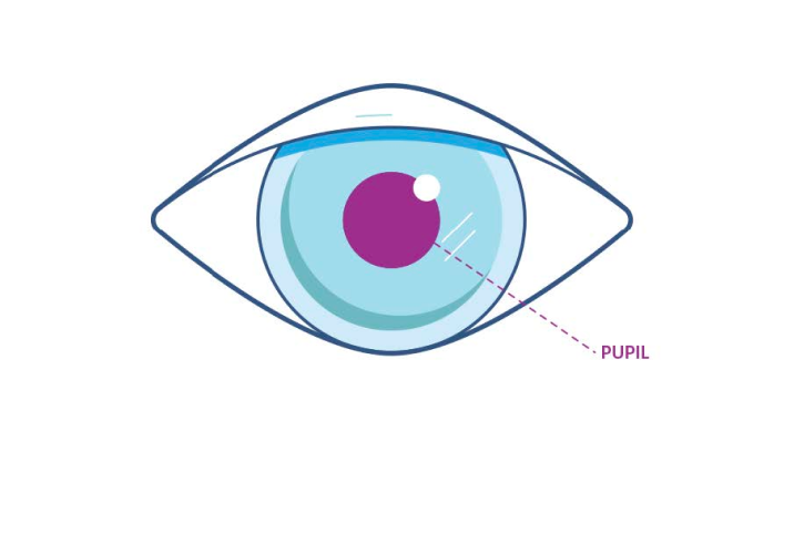Learn the Basics of Eye Care | ACUVUE® Contact Lenses | Acuvue